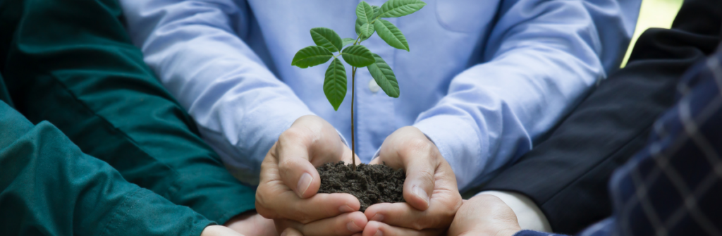 MBA & Sustainability Spotlight: The Wharton School | Clear Admit